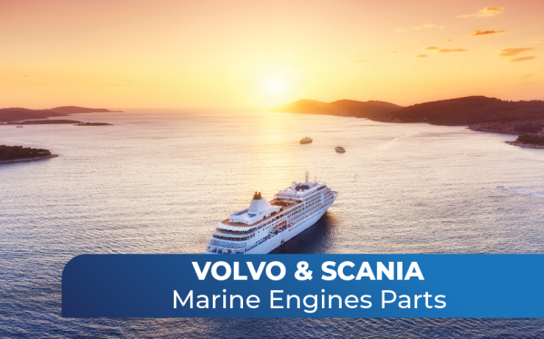 Super Dolphin Trading CO. (LLC) – Super Dolphin Trading