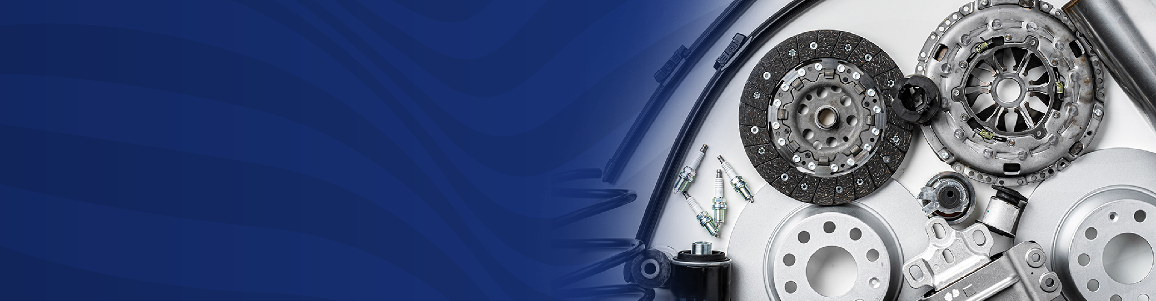 Super Dolphin Trading CO. (LLC) – Super Dolphin Trading